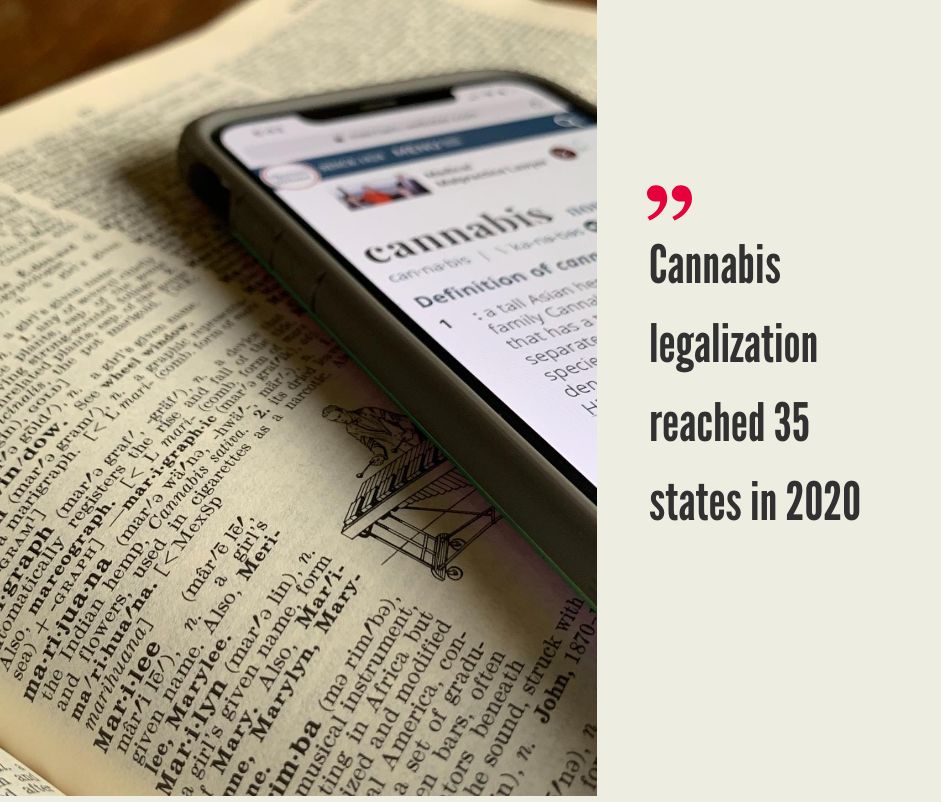 Cannabis Legalization 2020 – Business Plan Templates