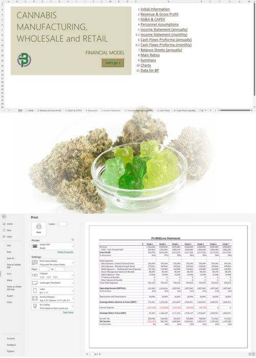 Cannabis Manufacturing Wholesale Retail Financial Model – Business Plan ...