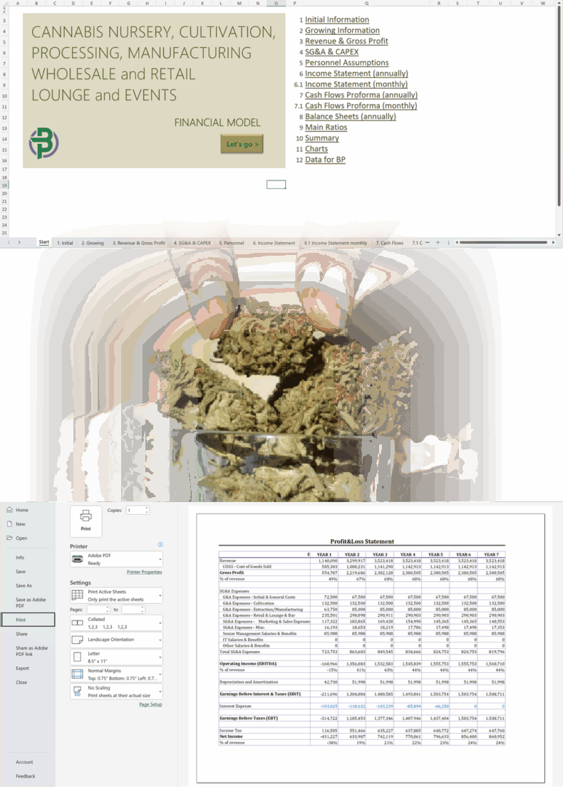 Cannabis Vertically Integrated Financial Model with Lounge and Events ...